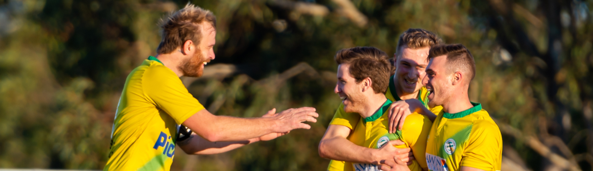 Bankstown United FC - Bankstown District Amateur Football Association